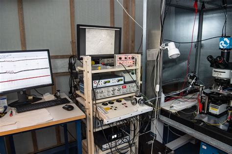 Ephys Core Facility Neuroinflammation Research Group