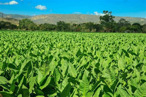 All The Most Awesome Things To Do In Nicaragua