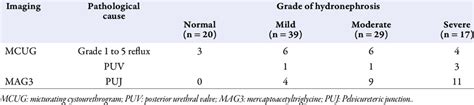 Pathology By The Degree Of Hydronephrosis Postnatal Ultrasound Download Table