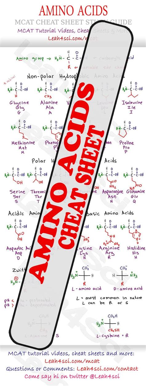 Amino Acids Mcat Flashcards At Shelly Ahmed Blog