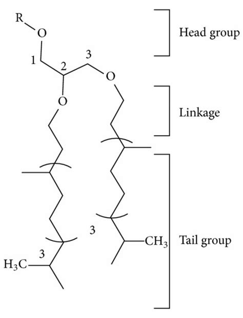 Basic Chemical Makeup Of Lipids Saubhaya Makeup