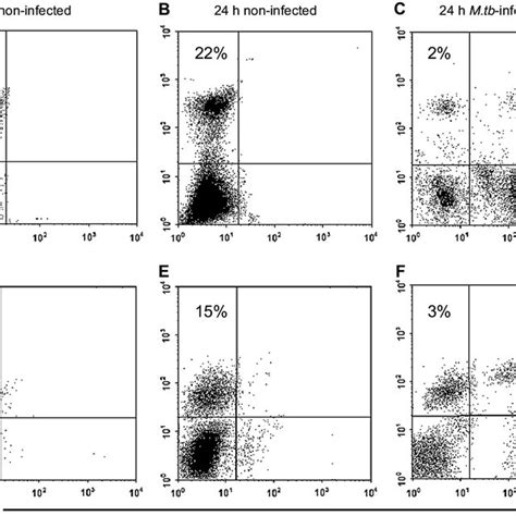 Effect Of M Tuberculosis Infection And Cell Adherence On Cd36 And Download Scientific Diagram
