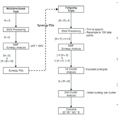 Flowchart Of Data Analysis From The Multidirectional Task To The Download Scientific Diagram