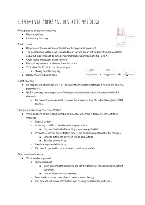 Neurons And Synapses Summary Lecture 6 2 Supplemental Topics And