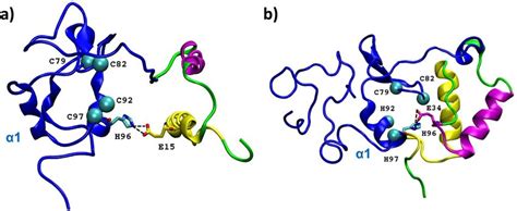 Key Ionic Interactions Between N And C Terminal Domains First Cluster