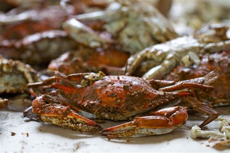 How Much Is A Bushel Of Large Crabs At Tina Lown Blog