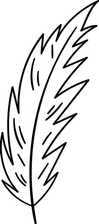 Feather Bird Outline Stock Vector Illustration Of White 301034618