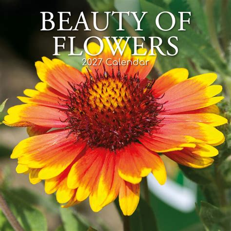 2027 Square Wall Calendar Beauty Of Flowers Wholesale Stationery