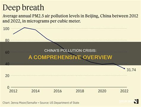 Chinas Pollution Crisis A Comprehensive Overview Shunwaste