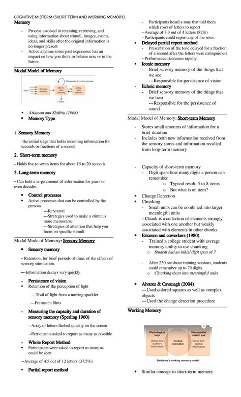 Memory Notes Cognitive Midterm Short Term And Working Memory