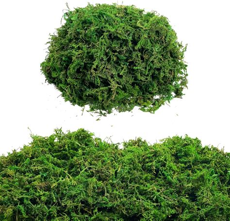Usmola Artificial Fake Moss 8oz Craft Moss For Potted
