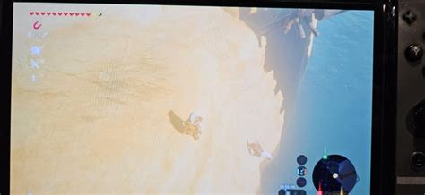 Umm Epona Wtf Are You Doing R Breath Of The Wild