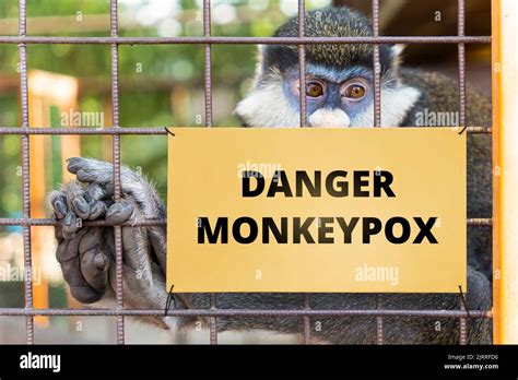 Monkeypox Virus Dangerous Disease Spreads In World Concept Of