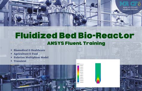 Fluidized Bed Bio Reactor Ansys Fluent Training Mr Cfd