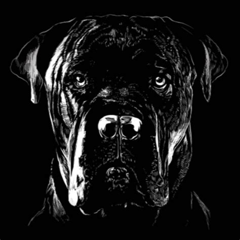 Nils Erwin Meier Drucklufttechniker Universität Bielefeld Xing