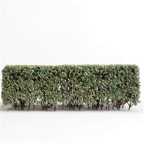 Premium Photo 3d Illustration Of Tree Fence