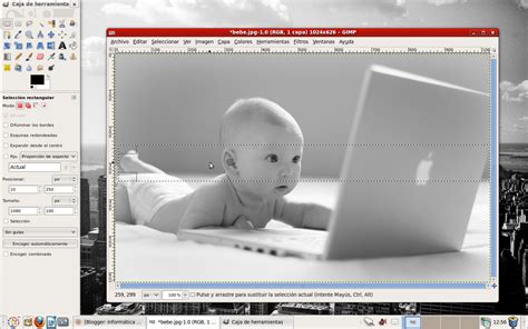 Informática Tics ¿cómo Recortar Una Imagen Con Gimp