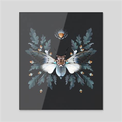Ghost Cicada An Art Print By Imogen Oh Inprnt