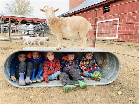 Lilli And Luke Lilli And Luke Added A New Photo