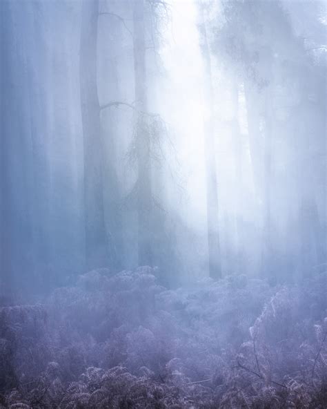 Geraint Evans 3 On Landscape