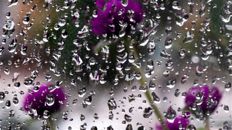 Cincinnati Rain Record Wettest First 21 Days Of May