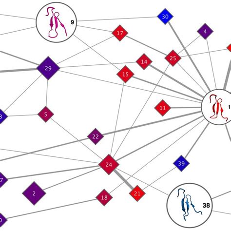 Betweeness Centrality Based Kinetic Network In This Kinetic Network Download Scientific