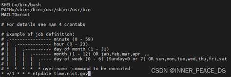 Linux下使用ntpdate进行时间同步 技术分享 云服务器