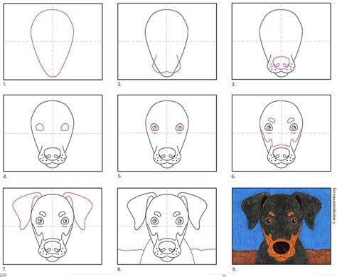 How To Draw A Doberman