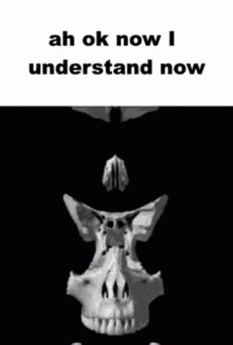 I Understand Now Skull  500×739 I Understand