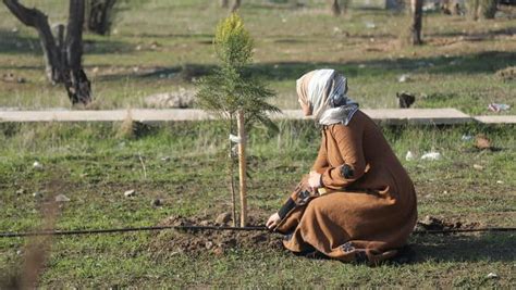 Conflict And Environment Can Improving Physical Surroundings Make A