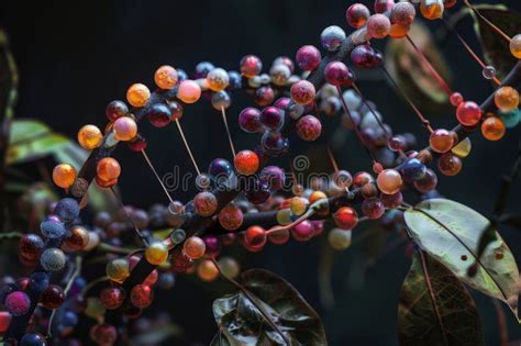 Complex Manipulation Stock Illustrations 781 Complex Manipulation