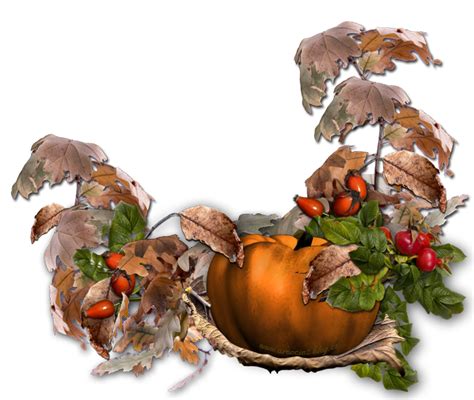 Pde3 By Bronislava25 On Deviantart