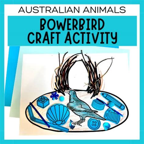 Bowerbird Craft Activity For Bowerbird Blues National Simultaneous