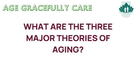 Unraveling The Mysteries The Three Major Theories Of Aging