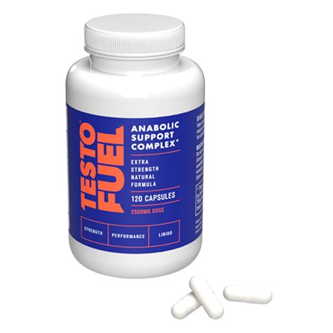 How Does Testosterone Function Inside A Cell Testofuel Blog