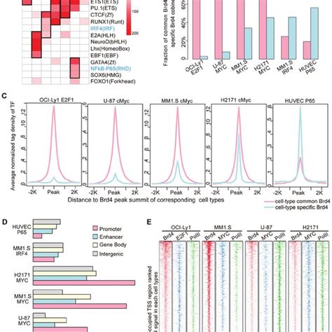 Brd4 Super Loaded Regionsgenes Determined In Each Cell Line A Brd4