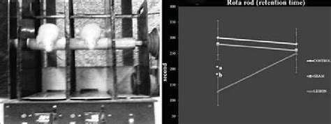 A Rotarod Coordination B Effect Of Bilateral Fastigial Nucleus Download Scientific Diagram