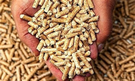 Vietnam Wood Pellet Industry Set For Expansion The Star