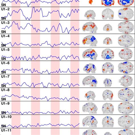 Experimental Results With Fmri Data Each Row Shows One Of The 11