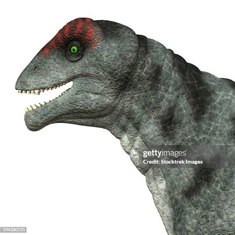 Moschops Photos And Premium High Res Pictures Getty Images