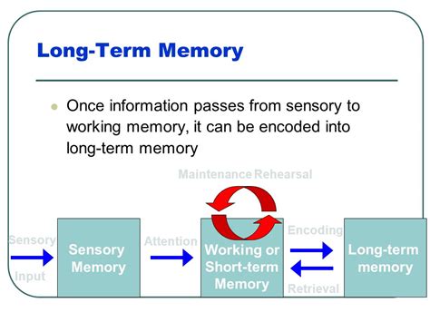 Memory Memory Is The Basis For Knowing Your Friends Your Neighbors The English Language The