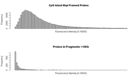 Methylation Detection Oligonucleotide Microarray Analysis A High