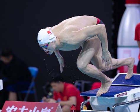 Sun Yang Settles For Bronze At 2025 Chinese Nationals Pan Zhanle Takes 400 Free Gold