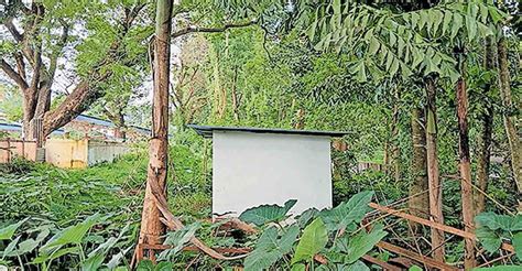 അപകടങ്ങൾക്ക് വളമിട്ട് റെയിൽവേ മരക്കൊമ്പുകൾ വെട്ടാൻ നടപടിയില്ല Railway Accidents Falling