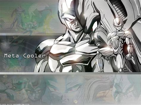 Meta Cooler Dbz