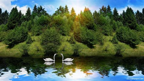 High Resolution Wallpaper Nature 37 Images