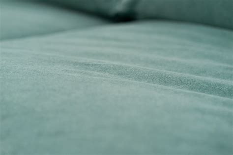 Where To Get The Ultimate Cat Proof Couch Without Buying A New One — Comfort Works Blog And Sofa