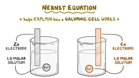Video Cellular Structure And Function Osmosis