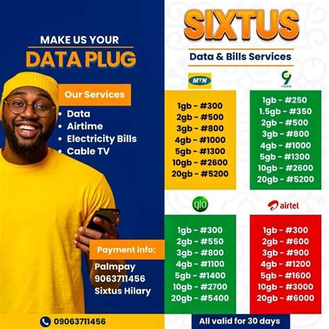 Flyer Design For Data Services