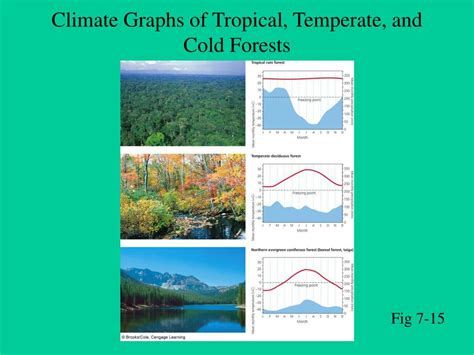 Ppt The Interplay Of Climate And Terrestrial Biodiversity